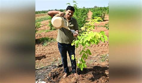 Former Mp Santosh Kumar Plants Saplings On World Environment Day