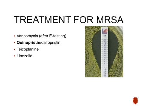 Mrsa Methicillin Resistance Staphylococcus Aureus Pptx Chemistry