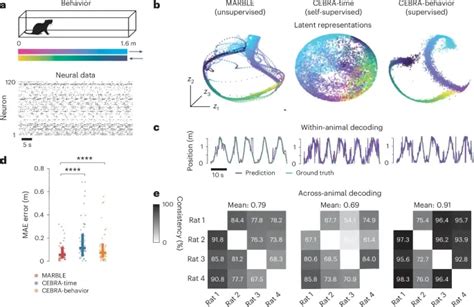 Deciphering Consciousness How Ai Is Finding Universal Patterns In The