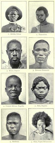Negroid Wikipedia African American History Facts African American
