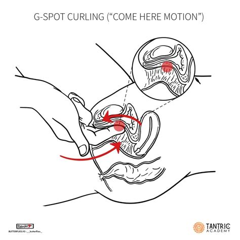 How To Make A Woman Squirt Steps And The Best Positions