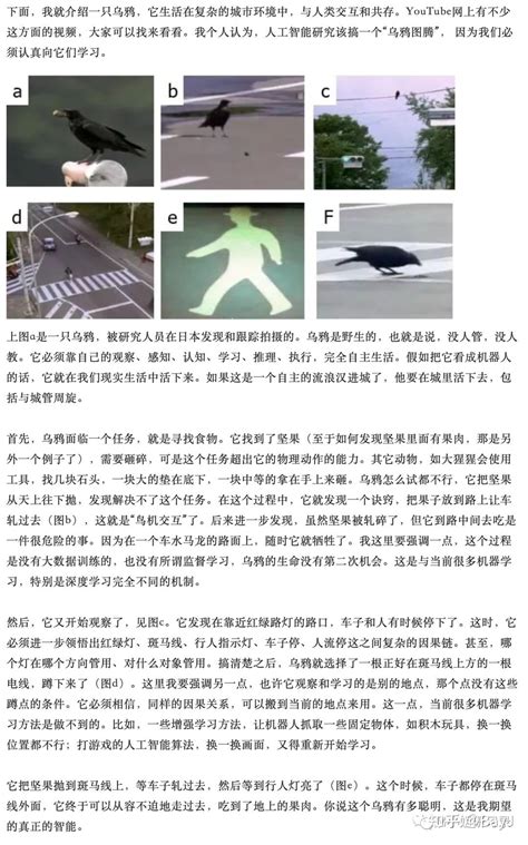 搞懂语言大模型（上）：技术原理 知乎