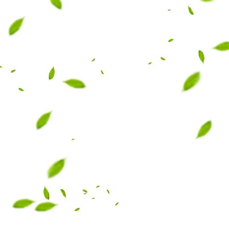 Download Fly Euclidean Material Vector Leaf Hd Image Free Png Hq Png
