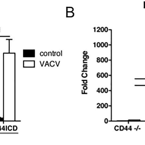 Cd44 Cleavage Is Required For Ifn γ Induced Expression Of Ifi16 A
