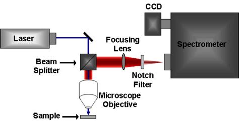 Raman Spectroscopy Science Facts