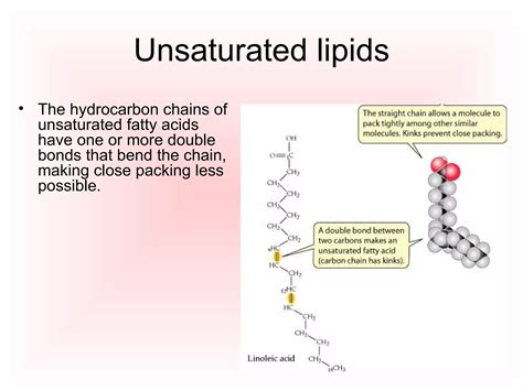 Macromolecules Lipids Ppt