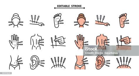 침술 아이콘은 윤곽선 벡터를 설정합니다 자오선체 라이브 포인트 가는 선 색상 흰색 절연 평면 침술에 대한 스톡 벡터 아트 및 기타 이미지 Istock