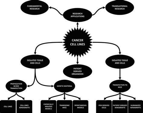 Potential CCL Applications In Research Download Scientific Diagram
