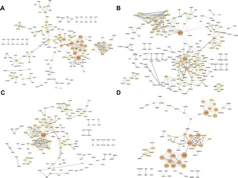 Protein Protein Interaction Networks Of Genes Of Alternative Splicing