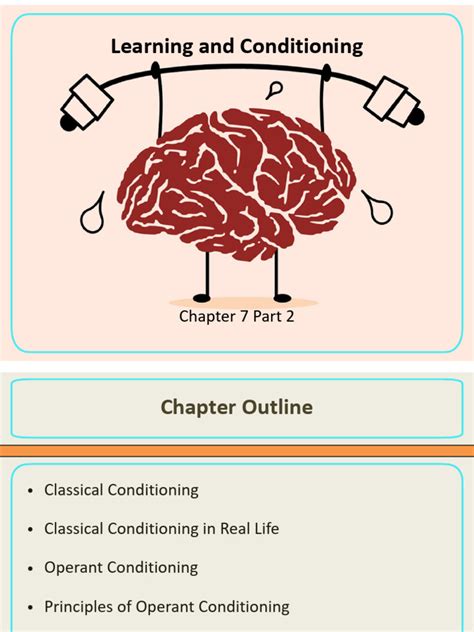 Chapter 7 Part 2 Learning And Conditioning Pdf Classical Conditioning Phobia