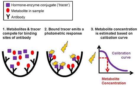 Dealing With Variation In Hormone Metabolite Measurements A Tale Of