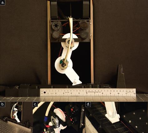 Creating A Tendon Driven Robot That Teaches Itself To Walk With Reinforcement Learning Matlab