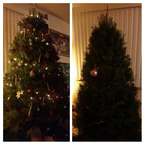 One Could Argue That The On Picture Is Better Porn Pic