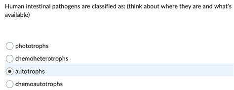 Solved 1∨ Metronidazole 1 Antiprotozoan 3∨ Ivermectin 2