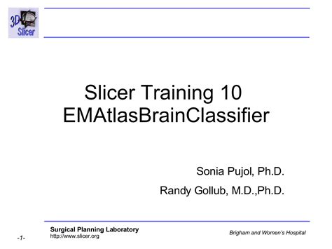 Automatic Brain Segmentation 3770 Ppt