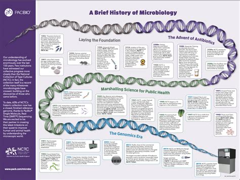 Microbial Sequencing Methods Archives Pacbio