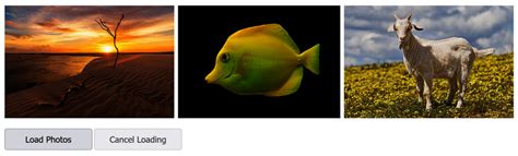 Aborting Multiple Fetch Requests With One Signal By The Pragmatic Programmers The Pragmatic
