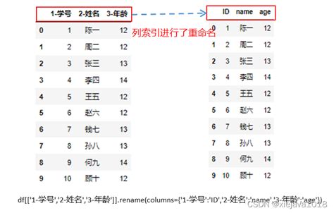 Pandas数据处理之数据转换映射map、替换replace、重命名renamepandas字典映射 Csdn博客