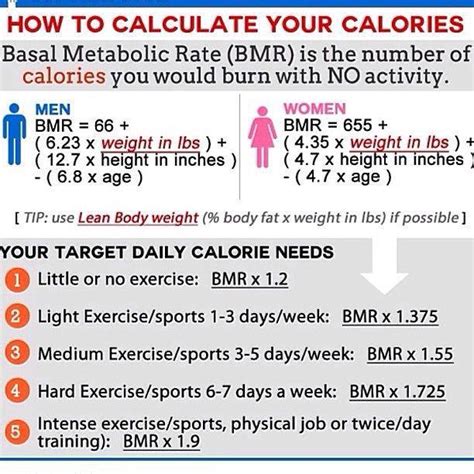ShowMe Nan How To Calculate Your Calories