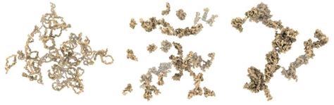 Method Accelerates The Development Of Sustainable Biomaterials From