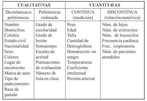 Tesis E Investigaciones SAS De CV Variables Cualitativas Y Cuantitativas