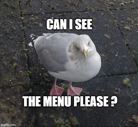 Menu Imgflip