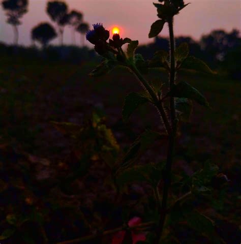 Digonto Biswas Digonto Biswas Updated His Profile Picture