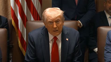 Трамп угода між США та Україною щодо видобутку корисних копалин спрацює і стане страховкою від