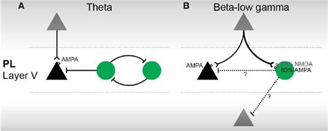 The Circuits Underlying The Frequency Components Of Oscillatory Download Scientific Diagram