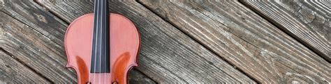 堆积图丨geomviolin函数绘制小提琴图时trim函数 Csdn博客