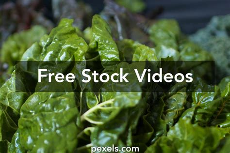 Fiber Crops Videos Download The Best Free 4k Stock Video Footage