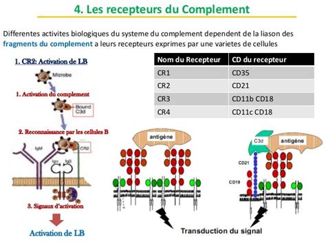 Cours Complement Medecine 2015