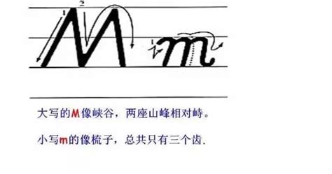 英语字母这么写，考试至少多加20分（规格 笔顺 技巧）！ 搜狐大视野 搜狐新闻