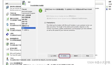 windows server服务 wsus服务搭建 wsus补丁服务器 csdn博客