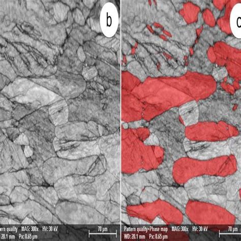 Sem Microstructure Analysis Of Sample Ii At 800° A The Phases