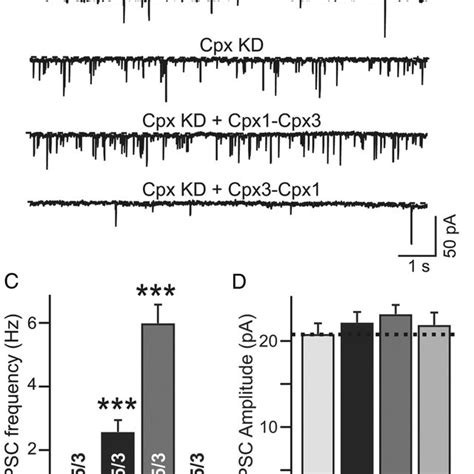 Localization Of The Difference In Clamping Functions Between Download Scientific Diagram