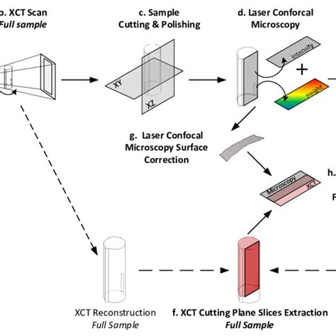 Overview Of The 2d3d Registration Protocol Workflow For A Multimodal Download Scientific