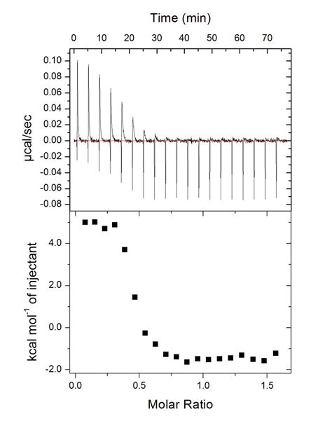 Why Is The Heat For This Itc Curve Both Endo And Exo Researchgate