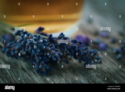 Lavender Tea With Flower On Natural Surface Stock Photo Alamy