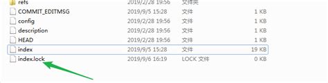 Unable to create '.git/index.lock' File exists 问题的解决方法_unable to create exists-CSDN博客