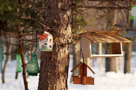 Bird Feeders On A Tree Stock Photo Image Of Diverse 210852354