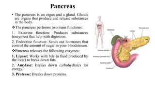 Digestive Systempptx
