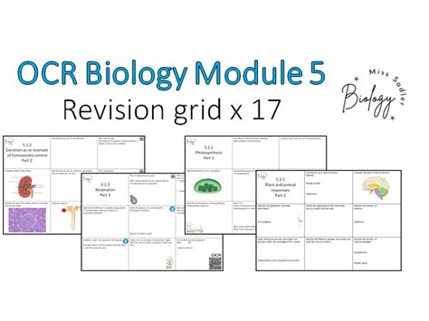 Module Revision Grid Bundle OCR A Level Biology Teaching Resources