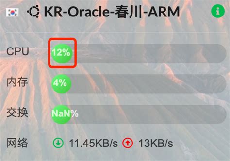 甲骨文云oracle Cloud发文回收闲置实例资源，附小鸡健身（保活）教程 杂七杂八 Hello New World