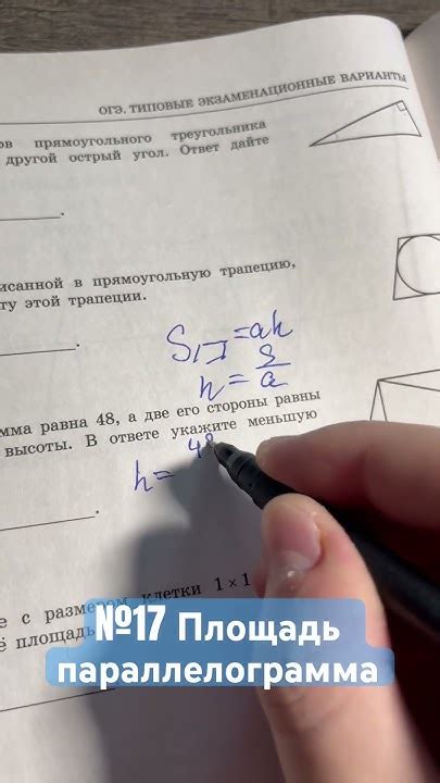 №17 ОГЭ С каждым лайком больше людей увидят видео и станут умнее📏 #огэ# ...