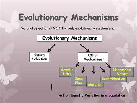 Mechanisms Of Evolution Unit Mechanisms For Evolution
