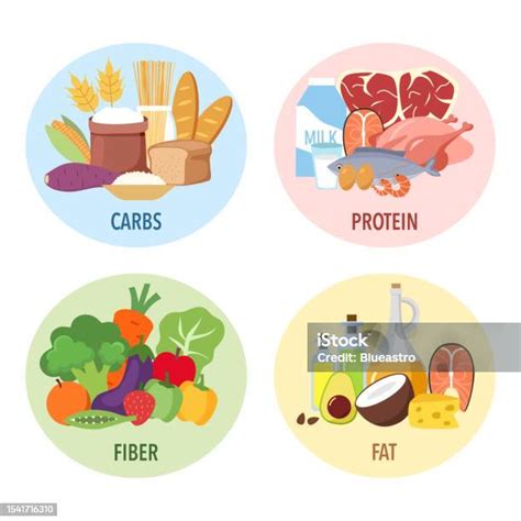 식품 영양 그룹은 탄수화물 단백질 섬유질 및 지방 개념 벡터 그림을 설정합니다 식이 섬유에 대한 스톡 벡터 아트 및 기타 이미지