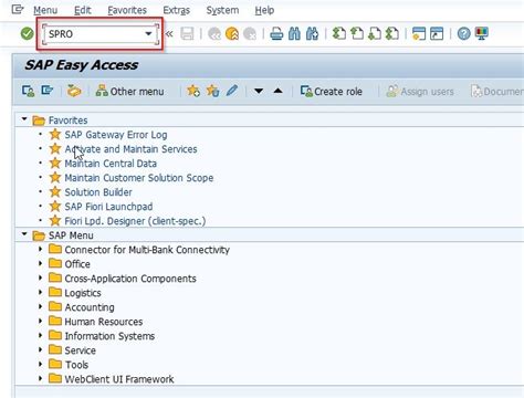 define control parameter in sap