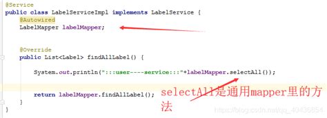 简单总结关于springboot通用mapper，table注解，＜resultmap＞标签使用的注意点springboot Table