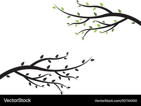 Tree Branch Logo Royalty Free Vector Image VectorStock